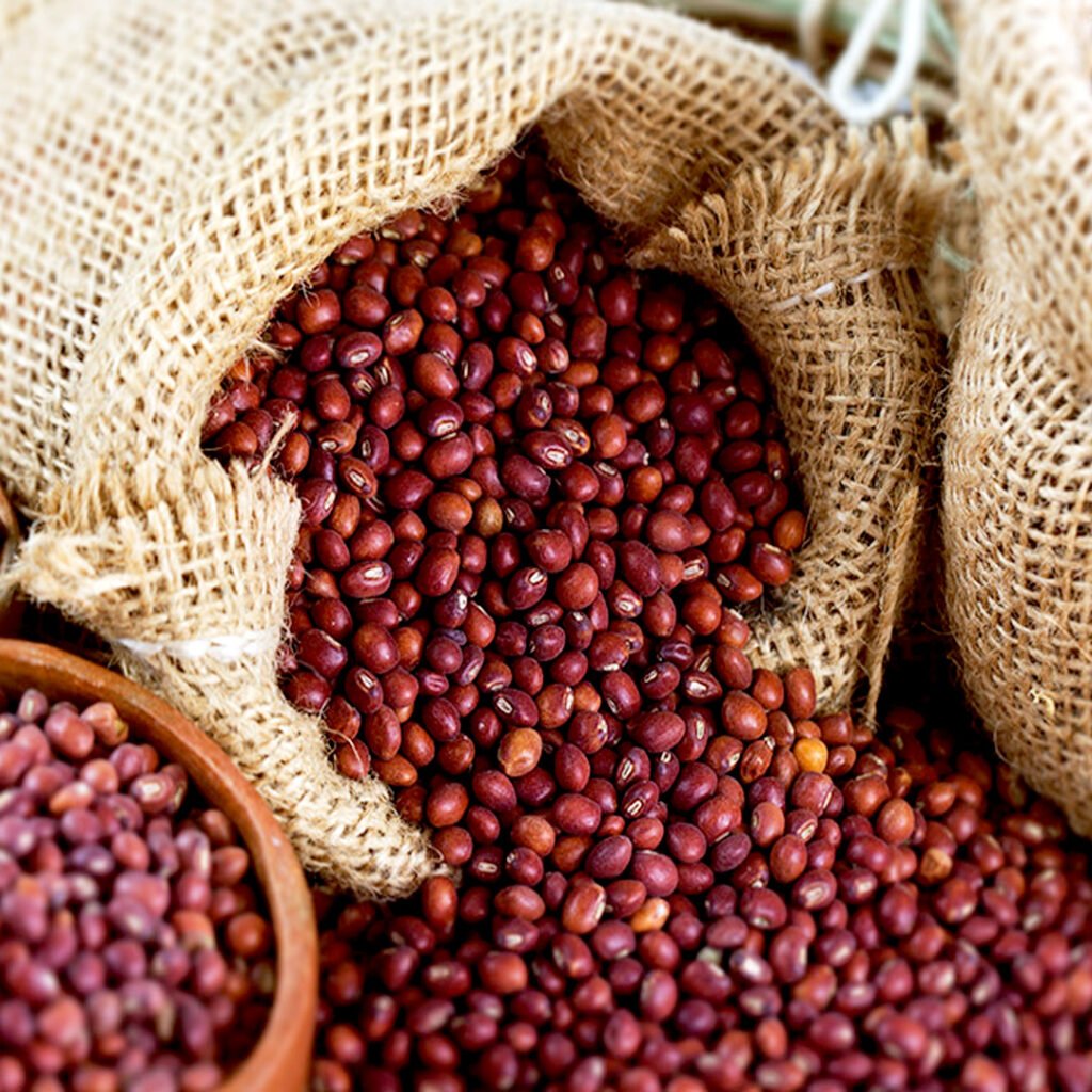 Sudanese Adasiya Seeds - alsandalgroup.com
